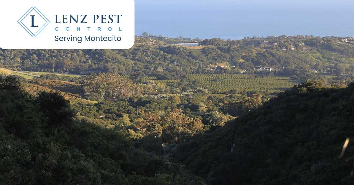 Pest Control in Montecito | Lenz Pest Control