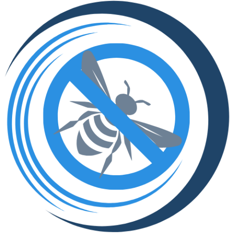 Wasp Pest Control in Santa Barbara County | Lenz Pest Control
